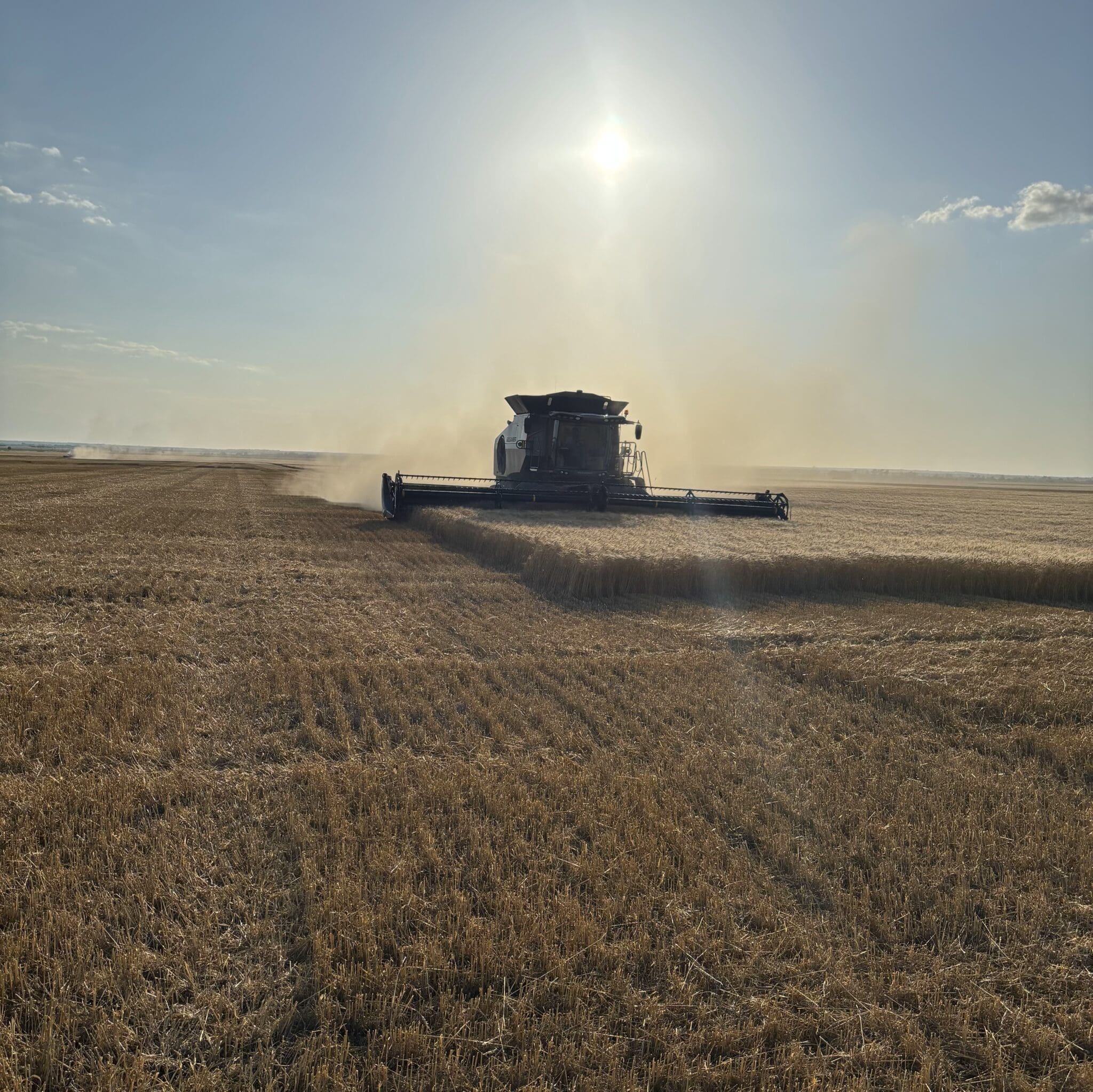 Oklahoma harvest continues with minor cuttings in southwest and central ...